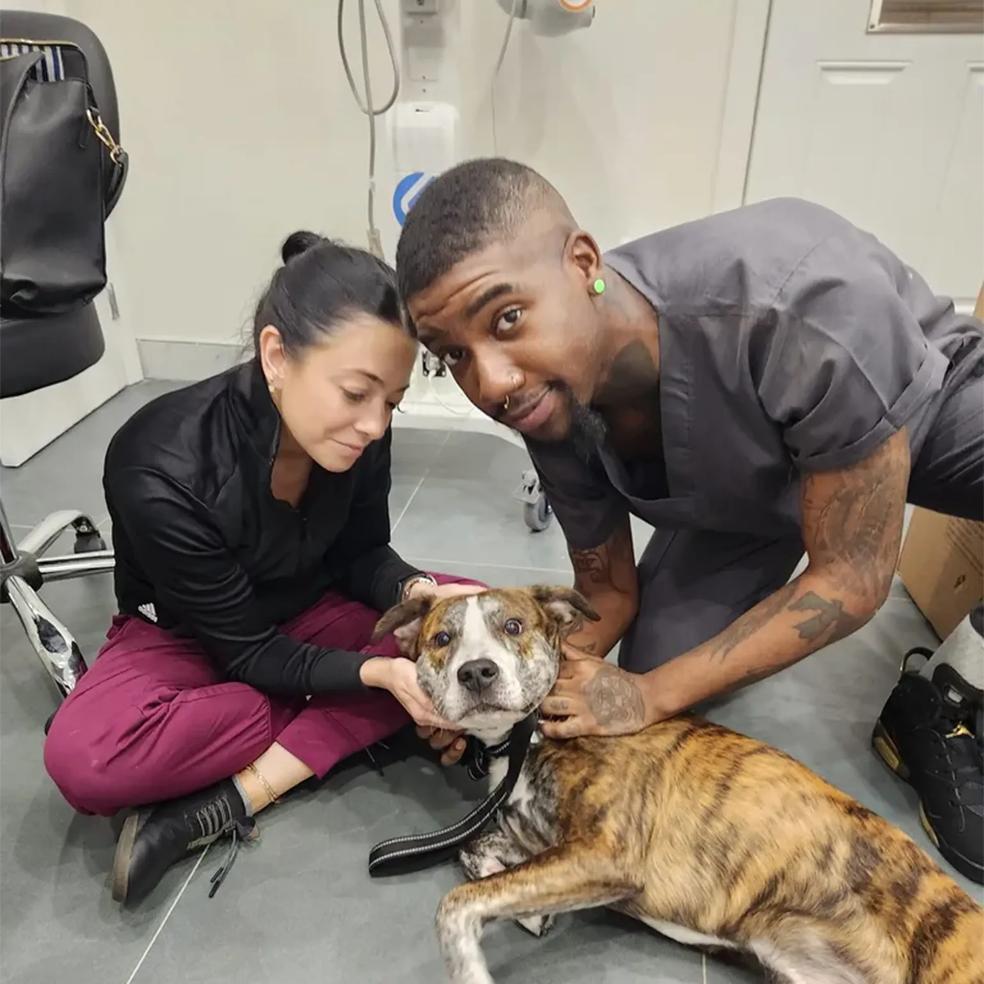 Urgencias - Kind Veterinary