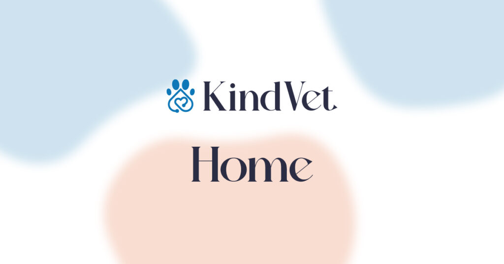 Veterinarian in Brooklyn NY | Kind Veterinary Clinic